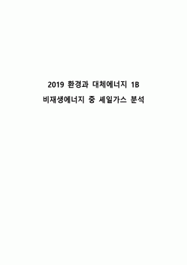 2019 환경과 대체에너지 1B 비재생에너지 중 셰일가스 분석-1페이지