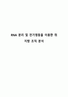RNA 분리 및 전기영동을 이용한 쥐 지방 조직 분석-1페이지