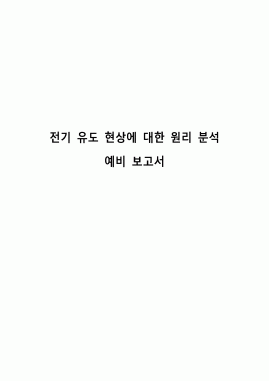 전기 유도 현상에 대한 원리 분석 예비 보고서-1페이지
