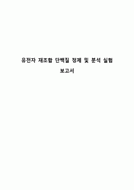 유전자 재조합 단백질 정제 및 분석 실험 보고서-1페이지