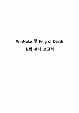 WinNuke 및 Ping of Death 실험 분석 보고서-1페이지