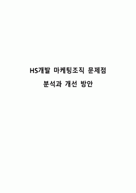 HS개발 마케팅조직 문제점 분석과 개선 방안-1페이지