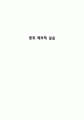 흰쥐 해부학 실습-1페이지
