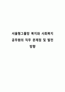 서울형그물망 복지와 사회복지 공무원의 직무 문제점 및 발전 방향-1페이지