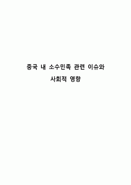 중국 내 소수민족 관련 이슈와 사회적 영향-1페이지