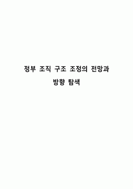 정부 조직 구조 조정의 전망과 방향 탐색-1페이지