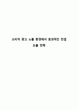 소비자 광고 노출 환경에서 효과적인 컨셉 도출 전략-1페이지