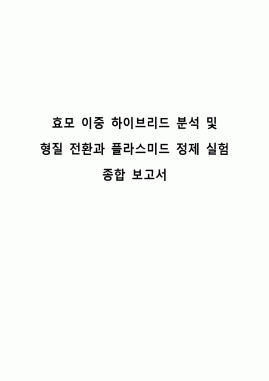 효모 이중 하이브리드 분석 및 형질 전환과 플라스미드 정제 실험 종합 보고서-1페이지