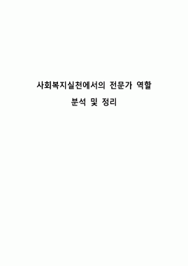 사회복지실천에서의 전문가 역할 분석 및 정리-1페이지
