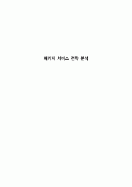 패키지 서비스 전략 분석-1페이지