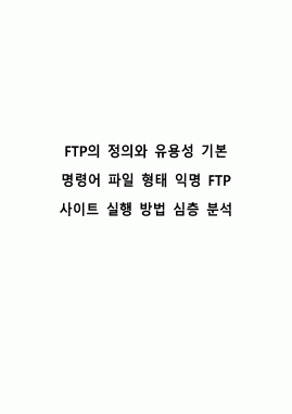 FTP의 정의와 유용성 기본 명령어 파일 형태 익명 FTP 사이트 실행 방법 심층 분석-1페이지