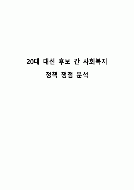 20대 대선 후보 간 사회복지 정책 쟁점 분석-1페이지
