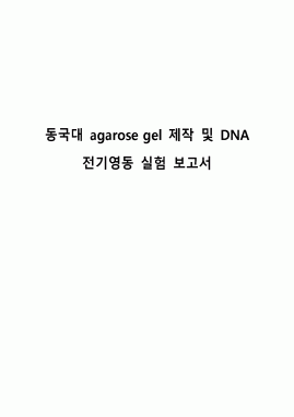 동국대 agarose gel 제작 및 DNA 전기영동 실험 보고서-1페이지