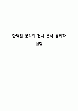단백질 분리와 전사 분석 생화학 실험-1페이지