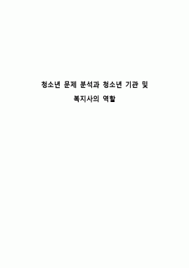 청소년 문제 분석과 청소년 기관 및 복지사의 역할-1페이지