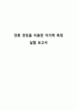 전류 천칭을 이용한 자기력 측정 실험 보고서-1페이지