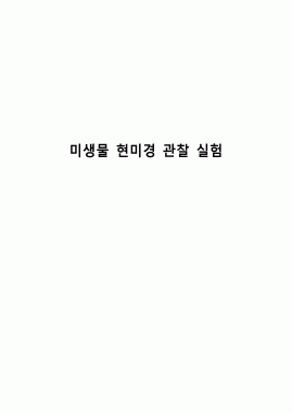 미생물 현미경 관찰 실험-1페이지