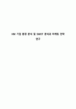HM 기업 환경 분석 및 SWOT 분석과 마케팅 전략 연구-1페이지