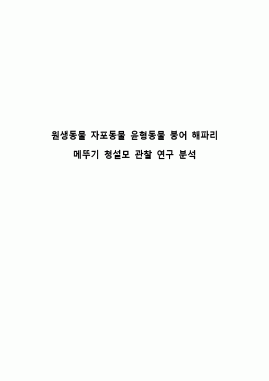 원생동물 자포동물 윤형동물 붕어 해파리 메뚜기 청설모 관찰 연구 분석-1페이지