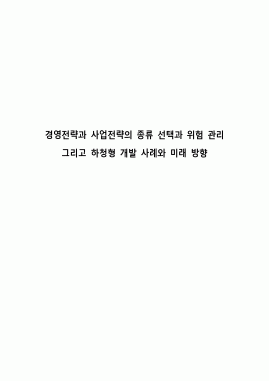 경영전략과 사업전략의 종류 선택과 위험 관리 그리고 하청형 개발 사례와 미래 방향-1페이지