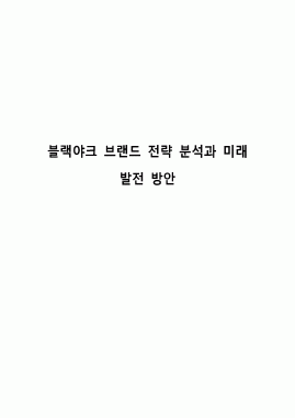 블랙야크 브랜드 전략 분석과 미래 발전 방안-1페이지