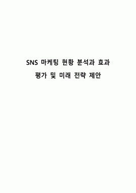 SNS 마케팅 현황 분석과 효과 평가 및 미래 전략 제안-1페이지