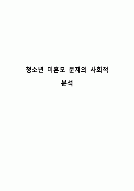 청소년 미혼모 문제의 사회적 분석-1페이지