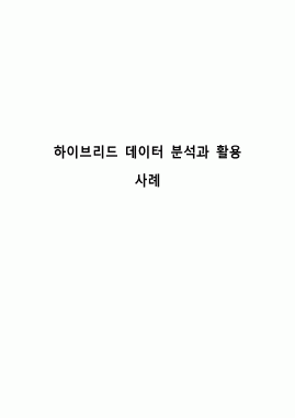 하이브리드 데이터 분석과 활용 사례-1페이지