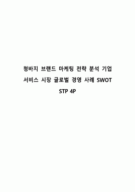 청바지 브랜드 마케팅 전략 분석 기업 서비스 시장 글로벌 경영 사례 SWOT STP 4P-1페이지