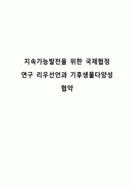 지속가능발전을 위한 국제협정 연구 리우선언과 기후생물다양성 협약-1페이지