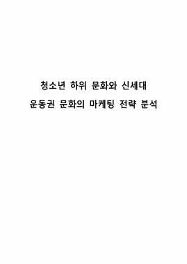 청소년 하위 문화와 신세대 운동권 문화의 마케팅 전략 분석-1페이지