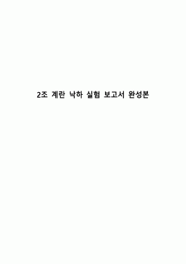 2조 계란 낙하 실험 보고서 완성본-1페이지