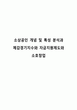 소상공인 개념 및 특성 분석과 체감경기지수와 자금지원제도와 소호창업-1페이지