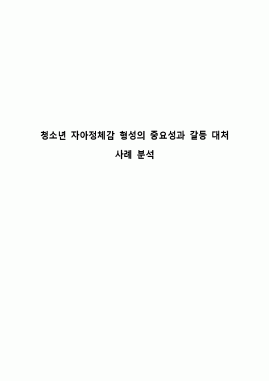 청소년 자아정체감 형성의 중요성과 갈등 대처 사례 분석-1페이지
