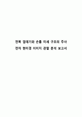 전복 껍데기와 손톱 미세 구조의 주사 전자 현미경 이미지 관찰 분석 보고서-1페이지