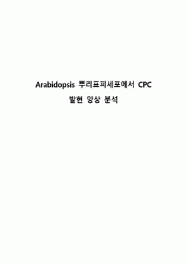 Arabidopsis 뿌리표피세포에서 CPC 발현 양상 분석-1페이지
