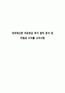 정부예산론 여유현금 투자 원칙 분석 및 위험과 수익률 고려사항-1페이지