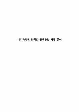 니치마케팅 전략과 블루클럽 사례 분석-1페이지
