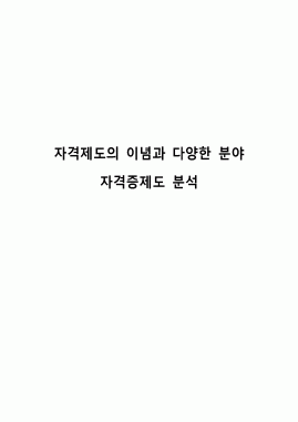 자격제도의 이념과 다양한 분야 자격증제도 분석-1페이지