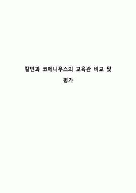 칼빈과 코메니우스의 교육관 비교 및 평가-1페이지
