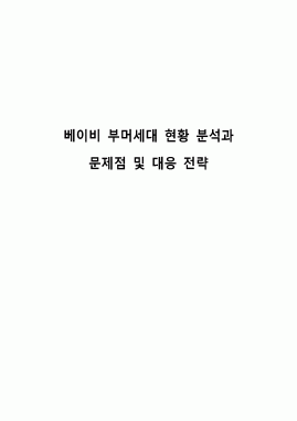 베이비 부머세대 현황 분석과 문제점 및 대응 전략-1페이지