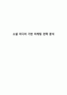 소셜 미디어 기반 마케팅 전략 분석-1페이지