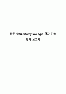 항문 fistulectomy low type 환자 간호 평가 보고서-1페이지
