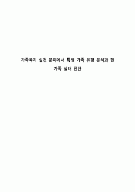 가족복지 실천 분야에서 특정 가족 유형 분석과 현 가족 실태 진단-1페이지