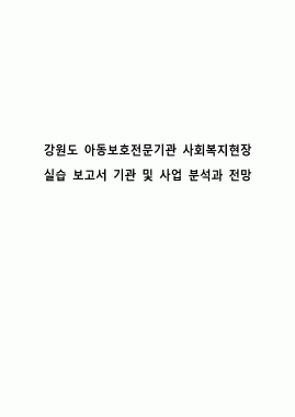 강원도 아동보호전문기관 사회복지현장 실습 보고서 기관 및 사업 분석과 전망-1페이지