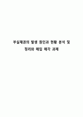 부실채권의 발생 원인과 현황 분석 및 정리와 매입 매각 과제-1페이지