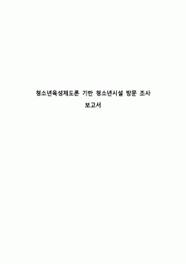 청소년육성제도론 기반 청소년시설 방문 조사 보고서-1페이지