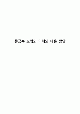 중금속 오염의 이해와 대응 방안-1페이지