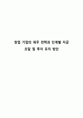 창업 기업의 재무 전략과 단계별 자금 조달 및 투자 유치 방안-1페이지