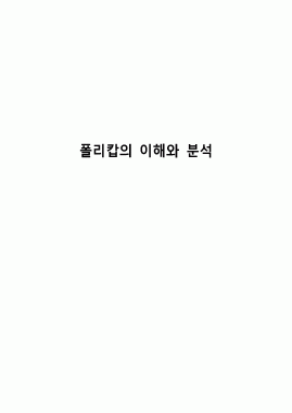 폴리캅의 이해와 분석-1페이지
